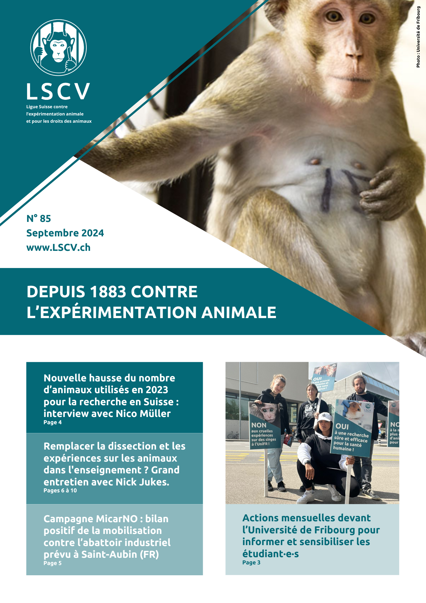 Zeitungsarchiv der LSCV - LSCV